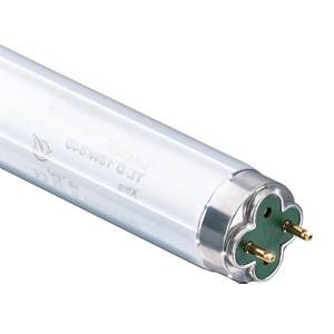 18w T8 Philips TL-D Xtra Polar Warmwhite/830 2 Foot Fluorescent Tube ...
