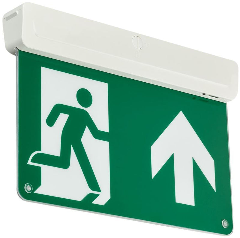 EcoLink LED Emergency Exit Blade Sign Ceiling/Wall 3W 3HR – The Lamp ...
