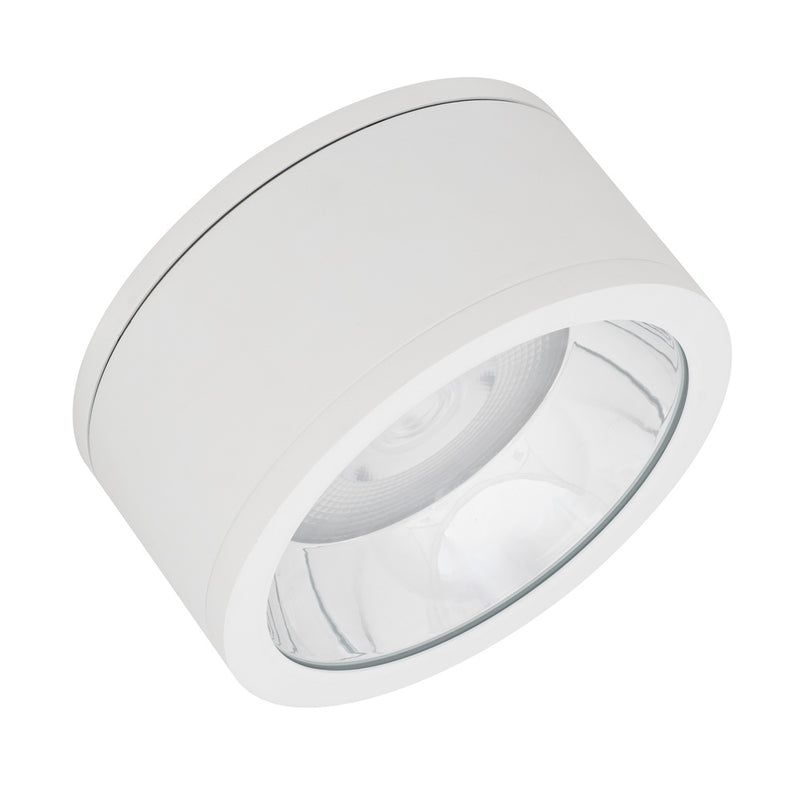 Ledvance DOWNLIGHT SURFACE IP65 DN 250 P 45W 840 60D WT – The Lamp Company