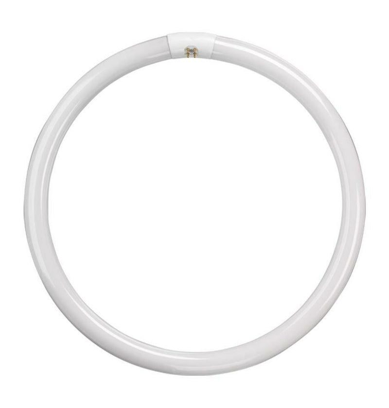 Crompton CIR22SPCW G10q 22W T9 Circular Cool White Light Bulb – The ...