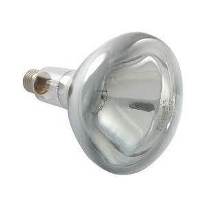 Catering Light Bulbs | Food Lamps | The Lamp Company